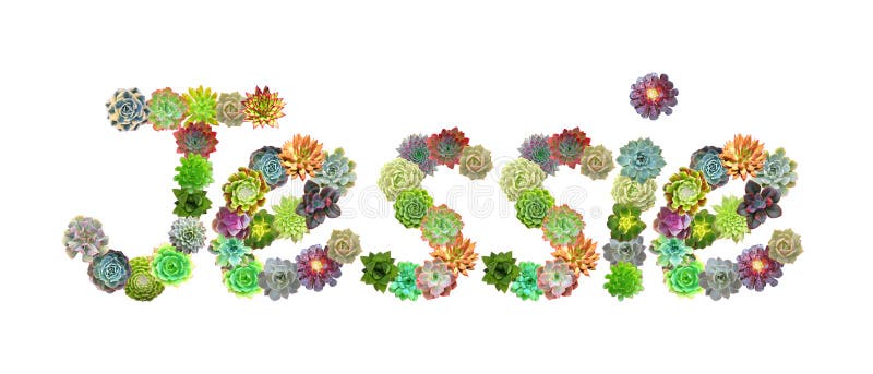 Name Jessie Stock Illustrations – 6 Name Jessie Stock Illustrations ...