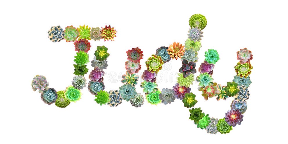 Succulent Name Judy stock illustration. Illustration of decoration ...