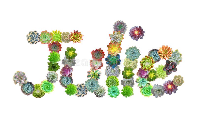 Julie Name Wallpaper