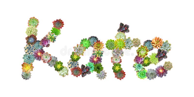 Kate Name Stock Illustrations – 16 Kate Name Stock Illustrations ...