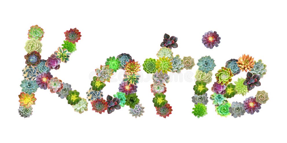 Name Katie Stock Illustrations – 6 Name Katie Stock Illustrations ...