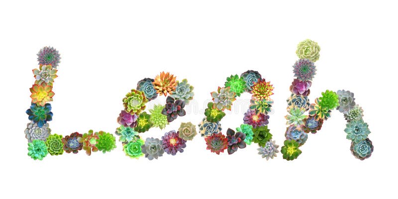 Name Leah Stock Illustrations – 16 Name Leah Stock Illustrations ...