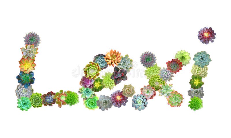 Lexi Stock Illustrations – 7 Lexi Stock Illustrations, Vectors ...