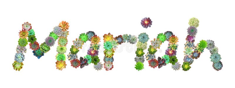 Name Mariah Stock Illustrations – 9 Name Mariah Stock Illustrations ...