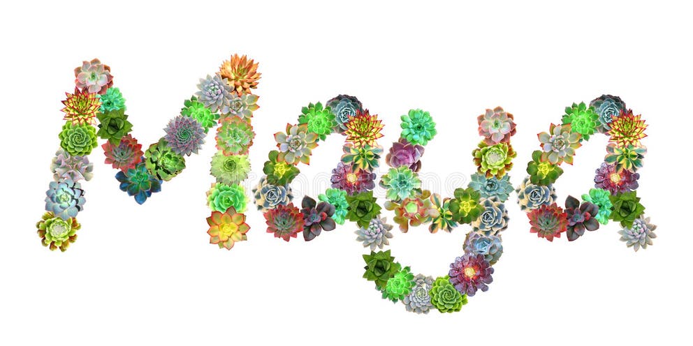 Name Maya Stock Illustrations – 52 Name Maya Stock Illustrations ...