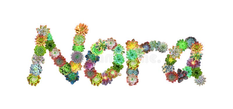 Nora Stock Illustrations – 104 Nora Stock Illustrations, Vectors ...