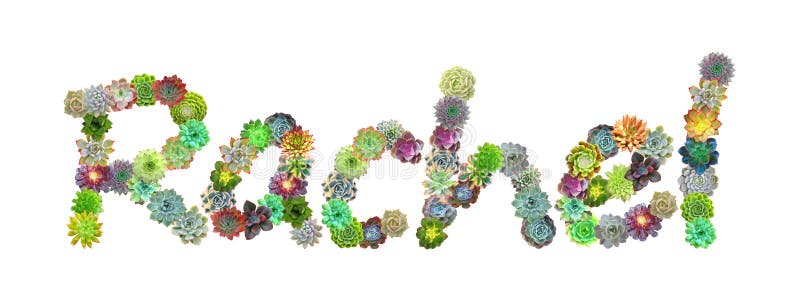 Lettering Rachel Stock Illustrations – 7 Lettering Rachel Stock ...