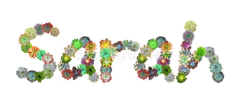 Sarah Lettering Stock Illustrations – 43 Sarah Lettering Stock ...