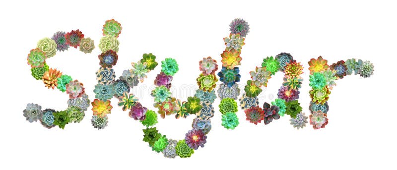 Name Skylar Stock Illustrations – 6 Name Skylar Stock Illustrations ...