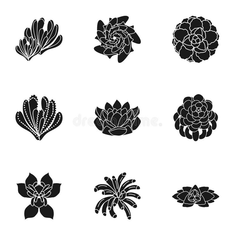 Succulent Plant Icon Set, Simple Style Stock Vector - Illustration of ...