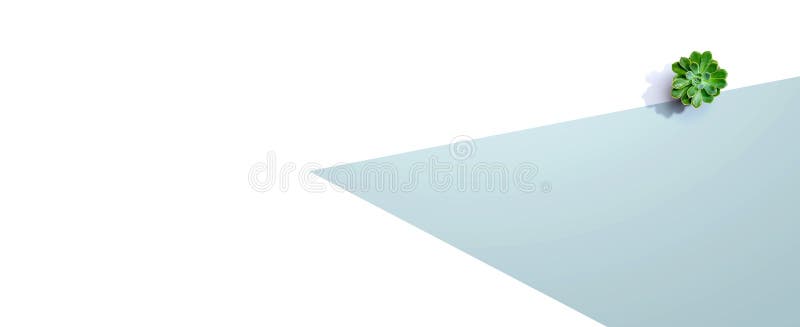 Succulent Plant in a Pot from Above Stock Image - Image of succulent ...