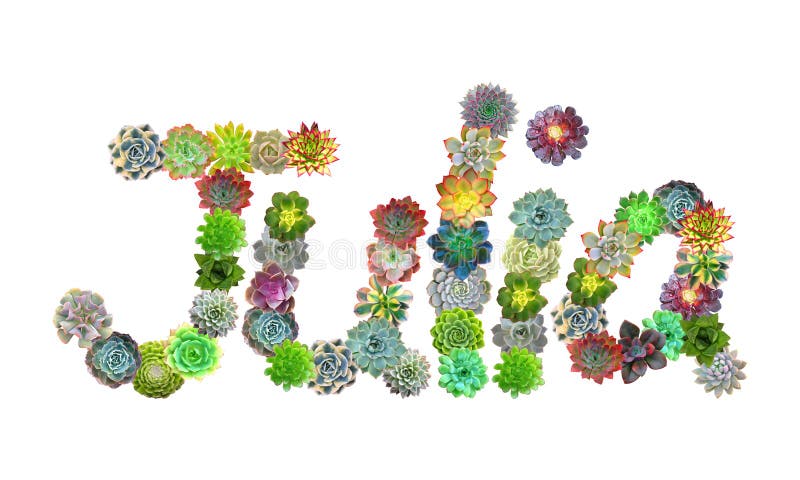 Succulente Naam Julia stock illustratie. Illustration of achtergrond ...
