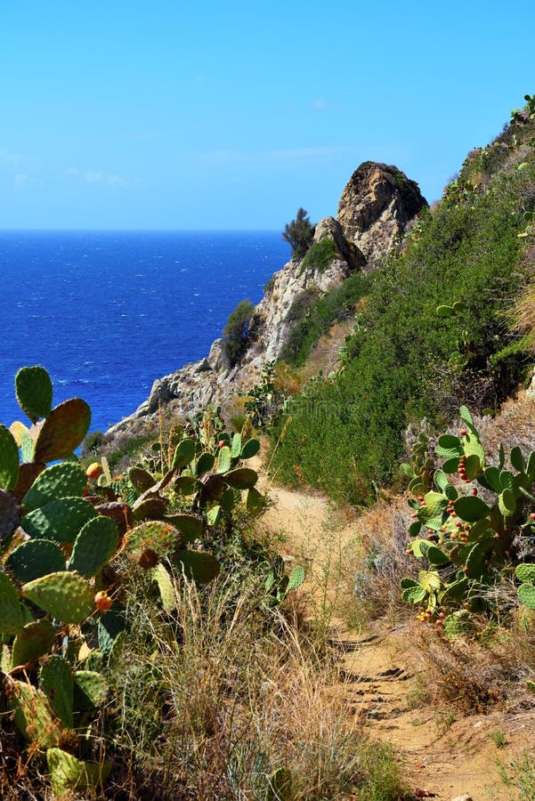 Capo Vaticano Calabria Italy Stock Photo - Image of vibo, coastline ...