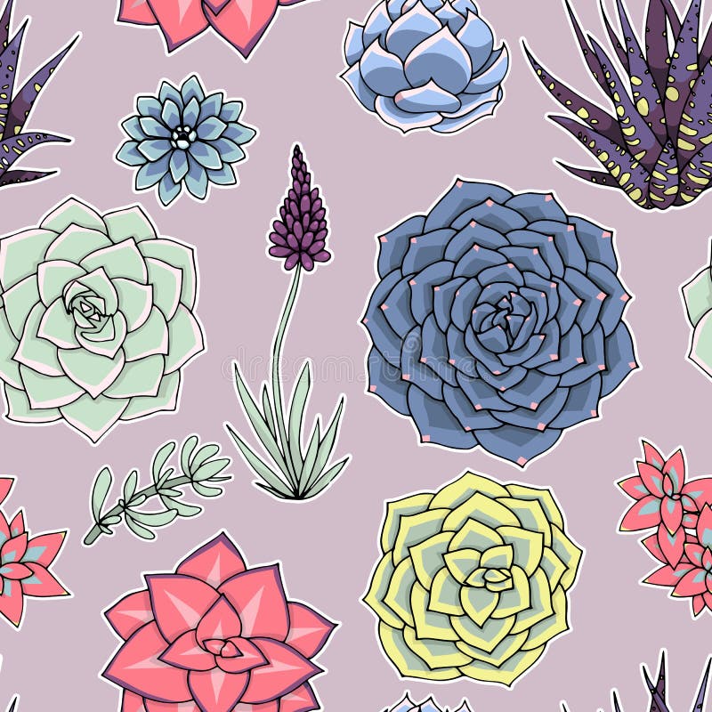 Succulents Seamless Pattern. Succulent Ornament Stock Vector ...