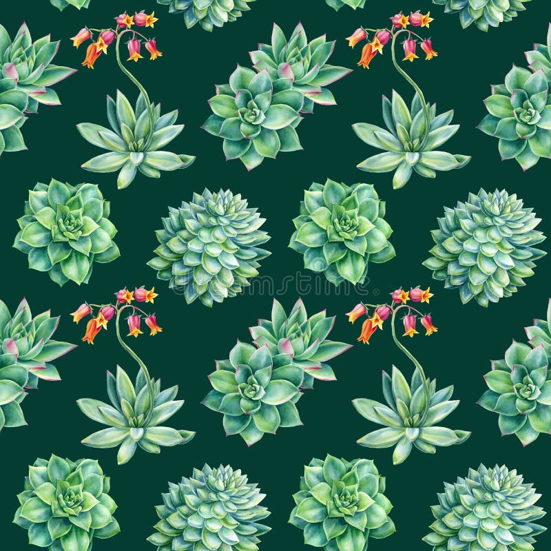 Succulents Seamless Pattern, Watercolor Illustration, Digital Paper ...