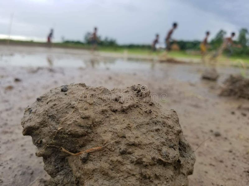 The land stock image. Image of land, beauty, nature - 123479265