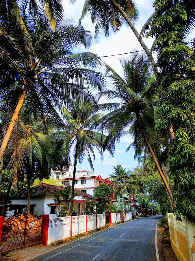 Such an impressive Goa stock image. Image of beauty - 131435105