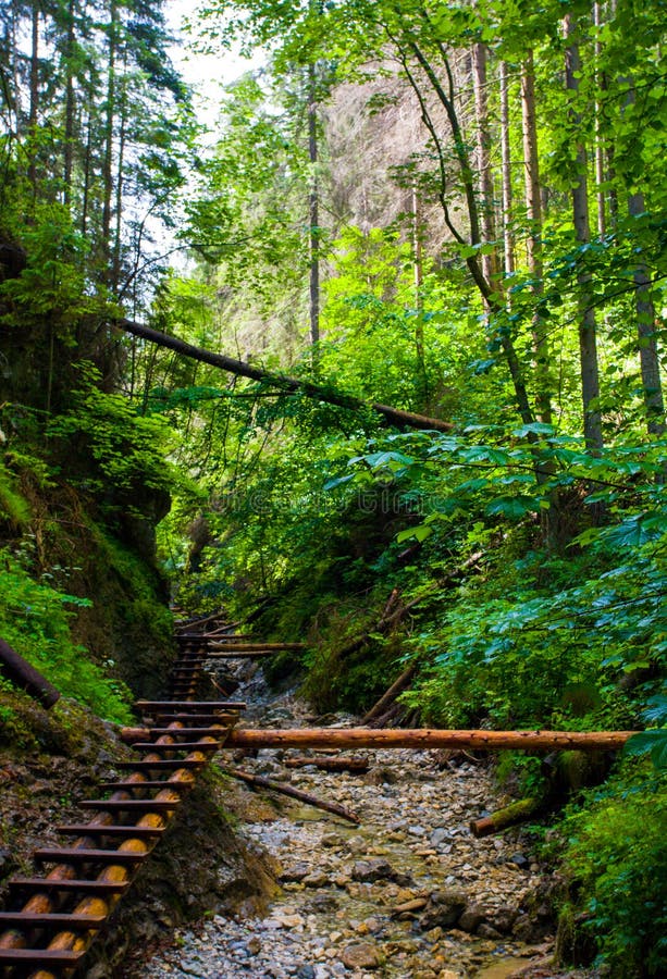 Sucha bela stock photo. Image of mountains, rock, natural - 130071348