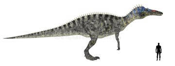 Gigantic Scale Stock Illustrations – 118 Gigantic Scale Stock ...