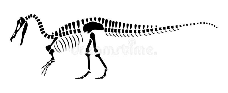 Suchomimus Skeleton . Silhouette Dinosaurs . Side View Stock Vector ...