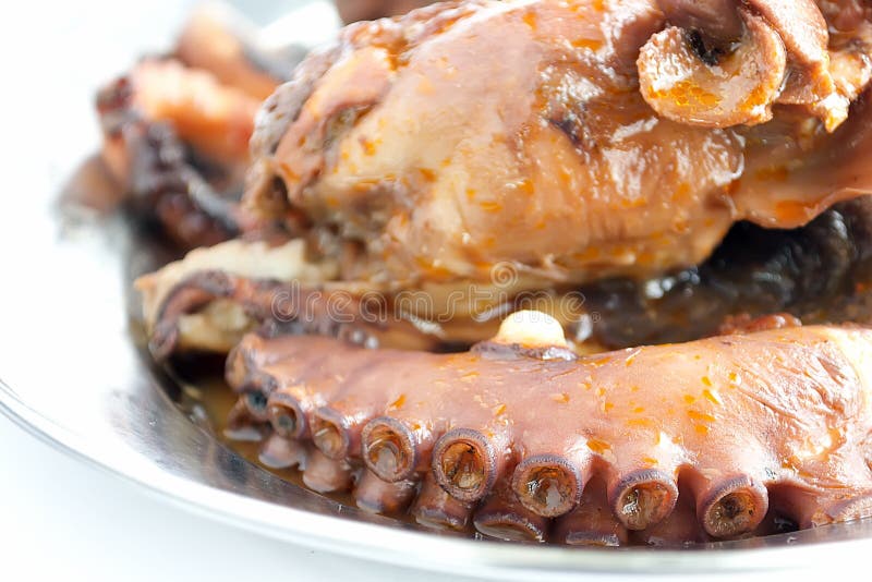 Suckers stock image. Image of metal, cuisine, octopus - 22790657