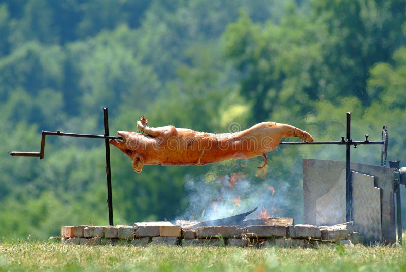 Smoking Pig stock photo. Image of health, hanging, ashtray - 80334