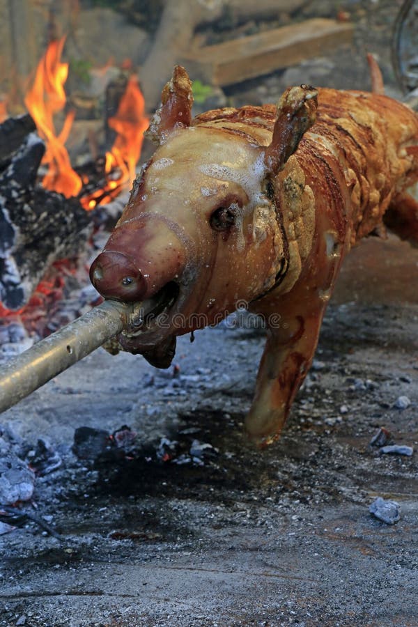 Suckling Pig Roasted Detail Stock Image - Image of skewer, eating: 86552199