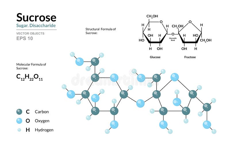 Sucrose Molecule Diagram