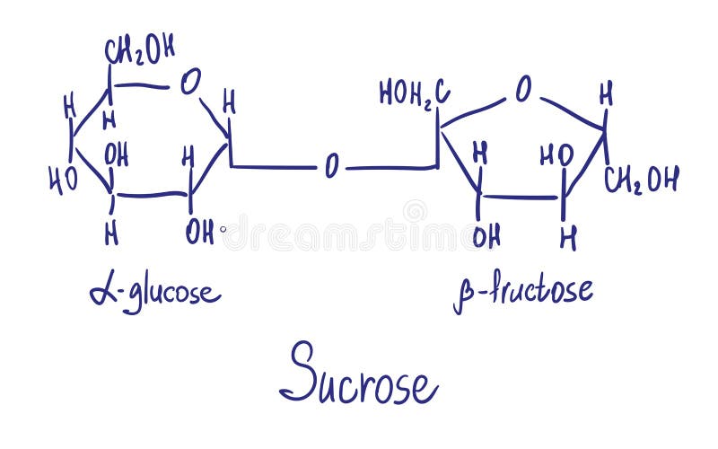 Sucrose Chemical Structure. Vector Illustration Hand Drawn Stock Vector ...