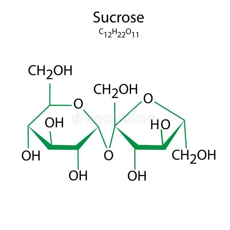 Sucrose Formula. Science Concept. Vector Illustration Stock Vector ...