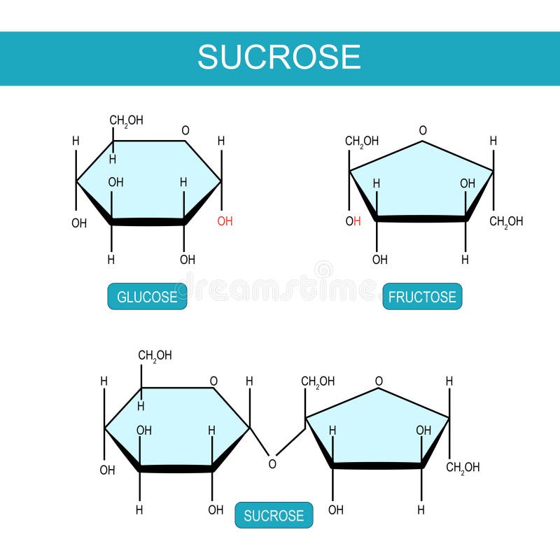 Sucrose, Fructose and Glucose Molecular Chemical Structural Formula ...