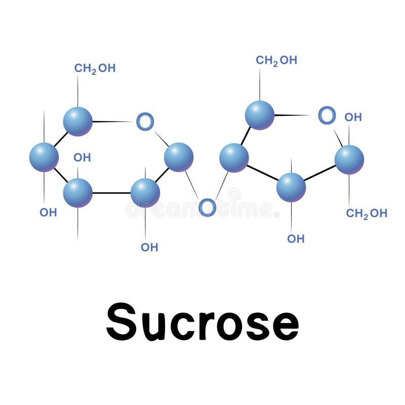 Sucrose stock vector. Illustration of saccharose, science - 40168351