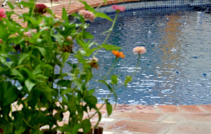 Sudden Rain in the Pool with Movement Stock Image - Image of movement ...