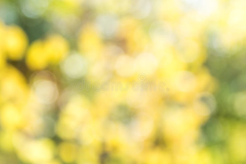 Gör Suddig Färgrik Bildbakgrund Med Linssignalljuseffekt Fotografering ...