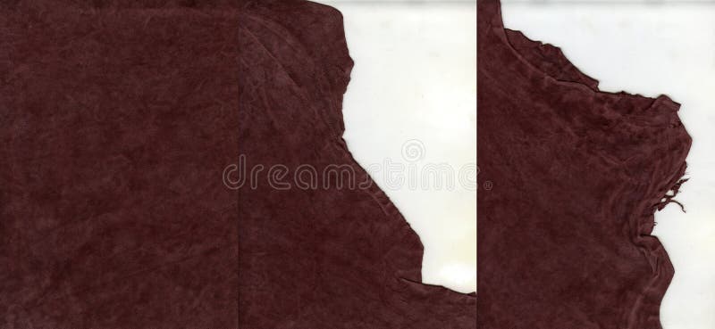 Suede Leather Texture with Torn Edges Stock Image - Image of pattern ...