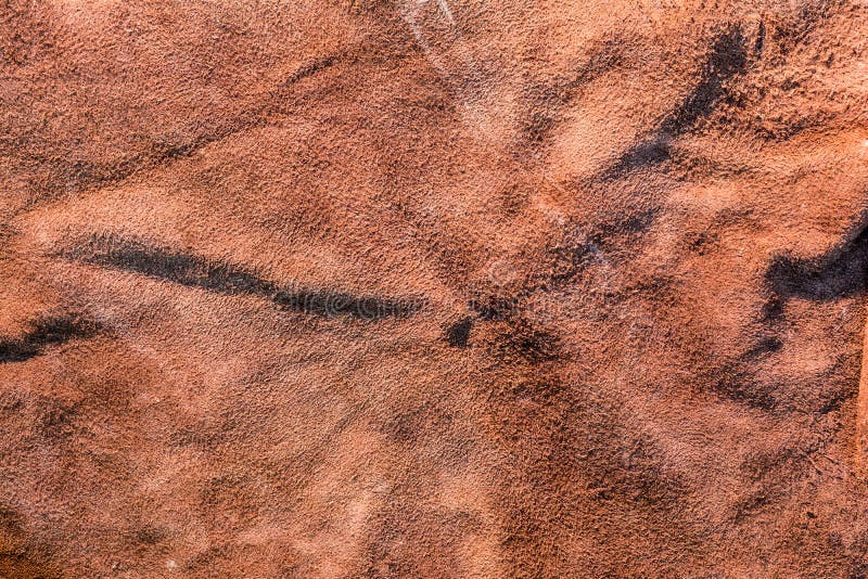 Suede Texture. Soft, Brown Suede Texture with Waves on Top Stock Image ...