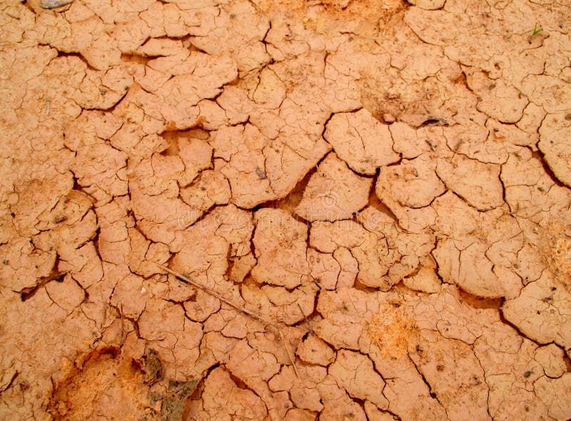 Suelo agrietado 1 foto de archivo. Imagen de roto, campos - 777532