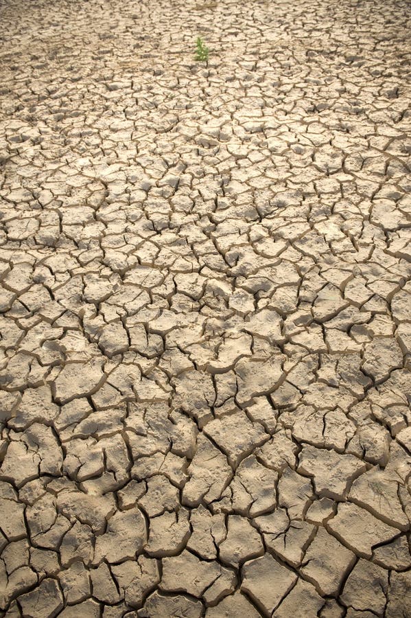 Suelo agrietado imagen de archivo. Imagen de seco, roto - 15396629
