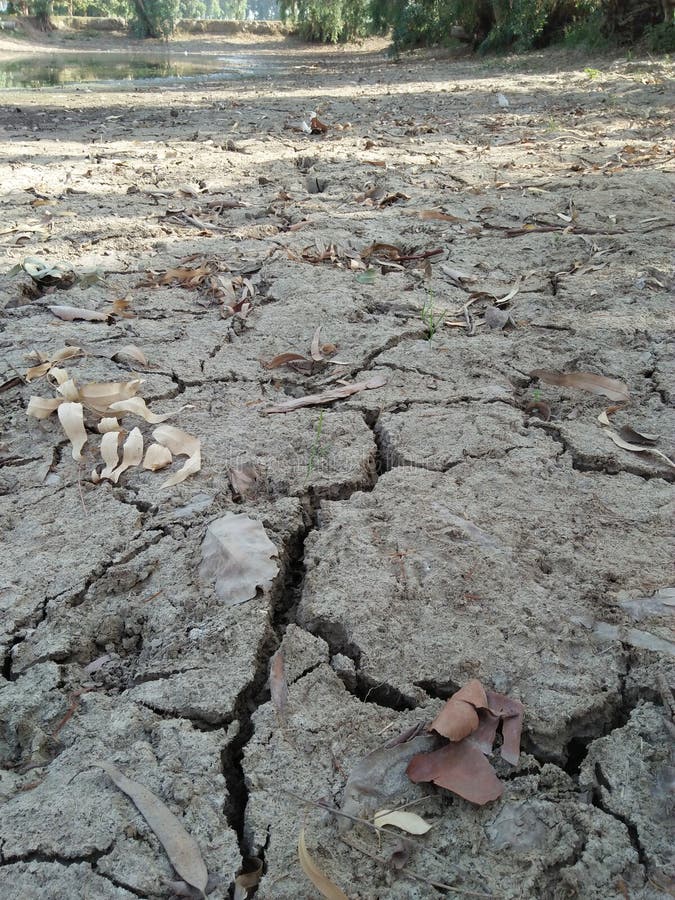 SUELO BIEN DRENADO foto de archivo. Imagen de contenga - 117608052