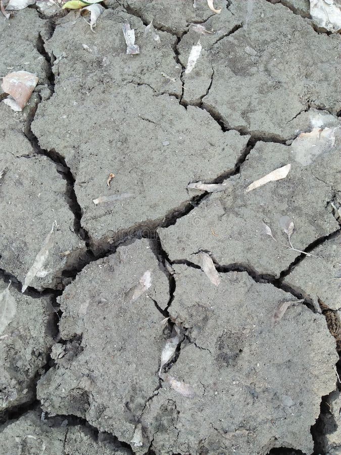 Drenado Fotos De Stock - Descarga 4,748 Fotos Libres de Derechos