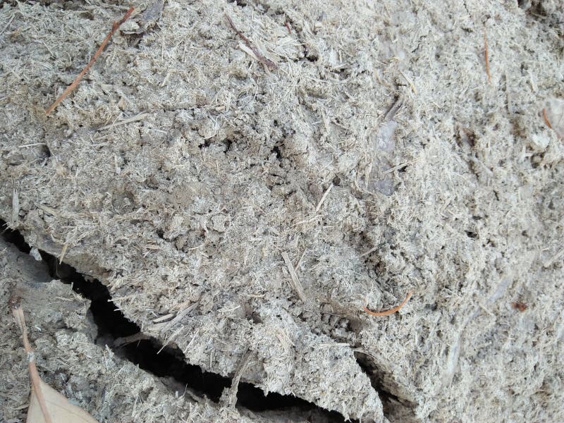 Drenado Fotos De Stock - Descarga 4,748 Fotos Libres de Derechos