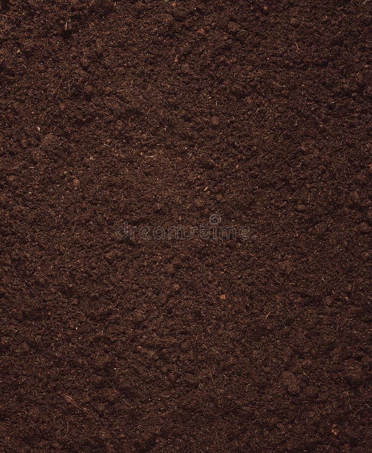 Suelo de la turba foto de archivo. Imagen de suciedad - 21729044