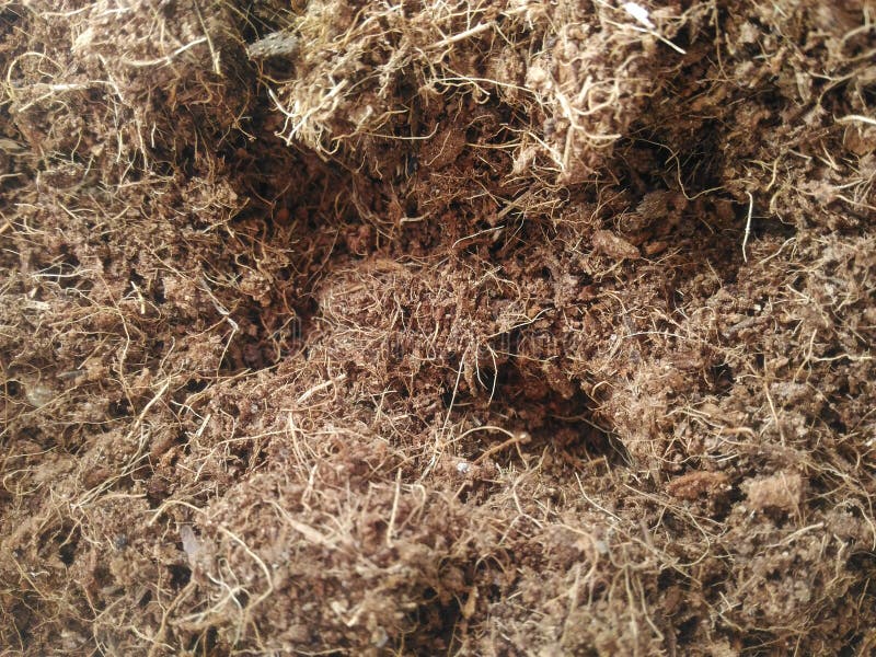 Suelo Del Coco Coco Presionado Tierra Foto de archivo - Imagen de suelo ...