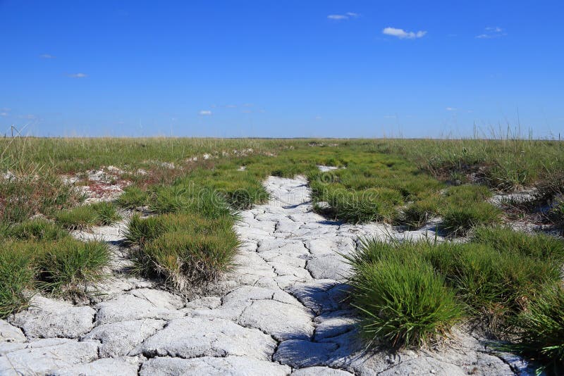 Suelo salino foto de archivo. Imagen de calor, arcilla - 42822376