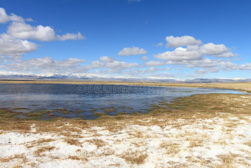 Suelos salinos foto de archivo. Imagen de resorte, recorrido - 40191116