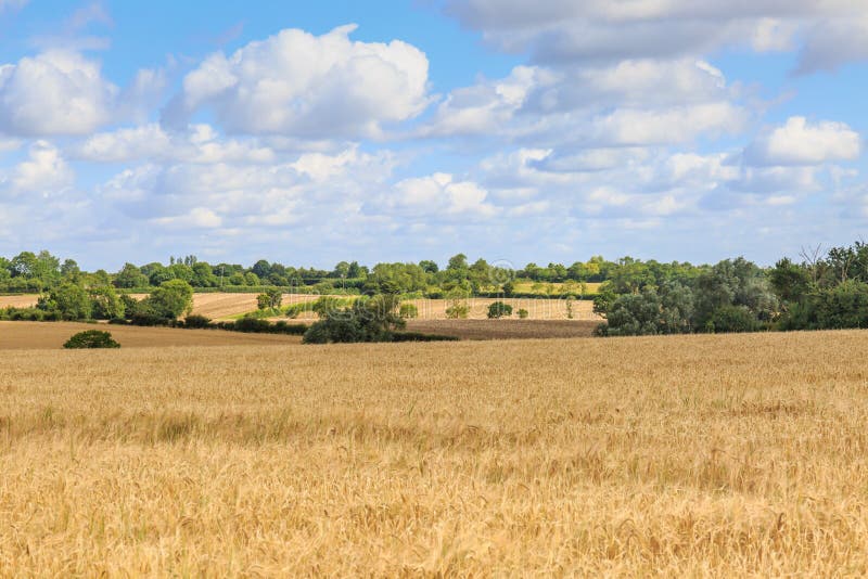 Suffolk Farm Landscape stock photo. Image of people - 108626024