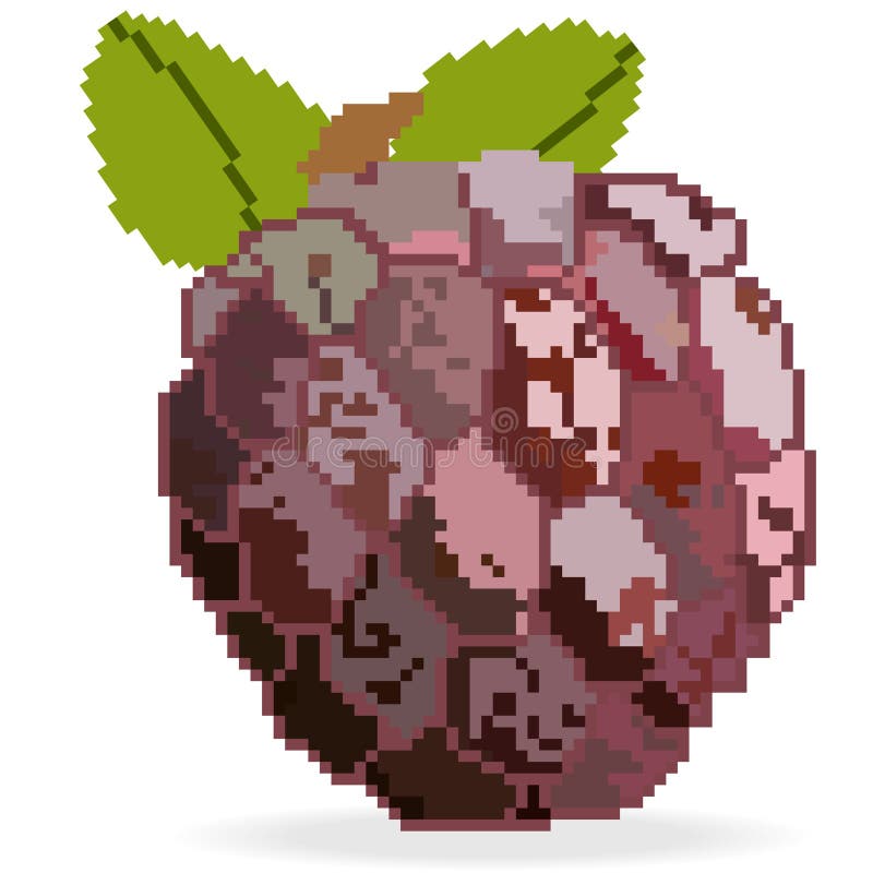 Sugar Apple Annona stock illustration. Illustration of design - 187753007