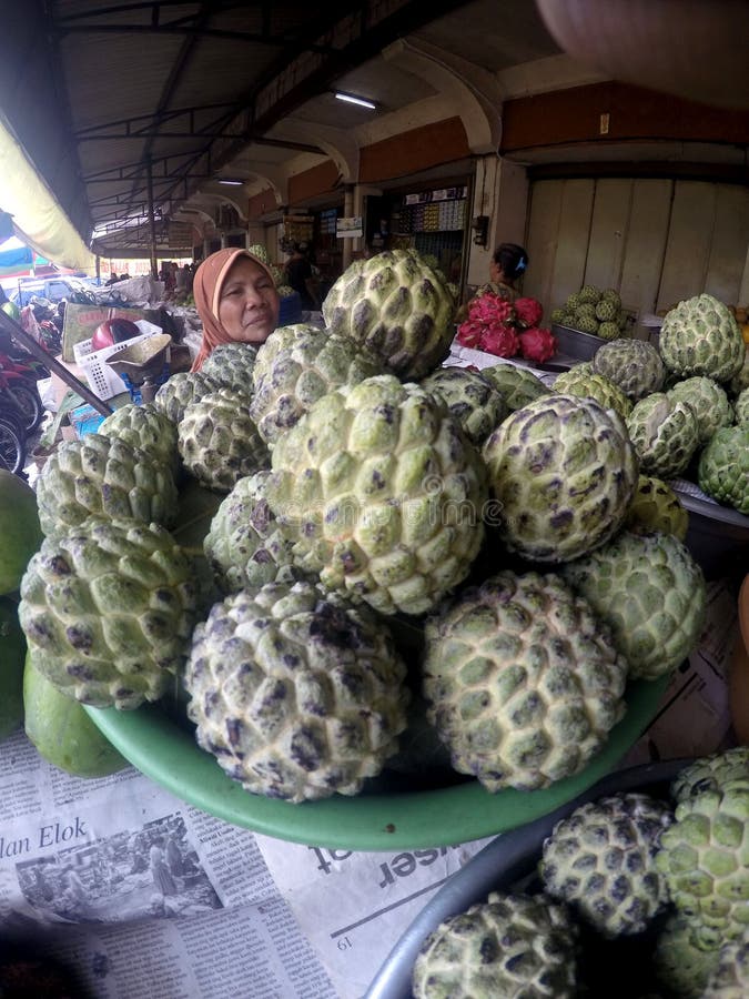 Sugar apple editorial photo. Image of indonesia, business - 49168401