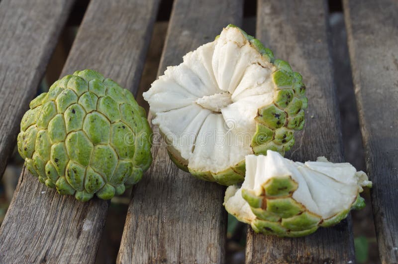 Sugar apple stock photo. Image of naturefood, sweetfruits - 47411138