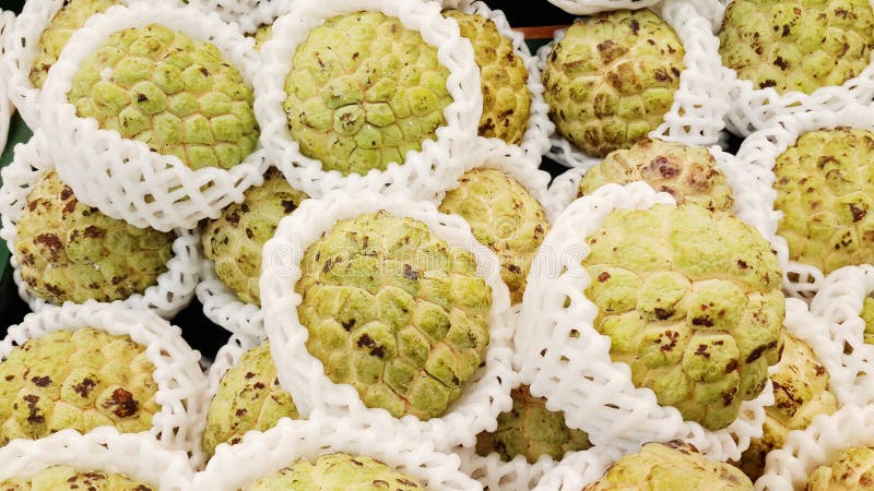Sugar Apple or Sweetsop editorial stock image. Image of sugar - 56255639